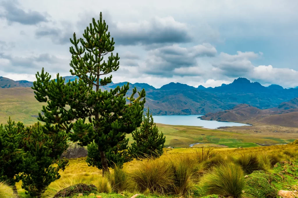 Ultimate Explorer's Guide To Ecuador's National Parks