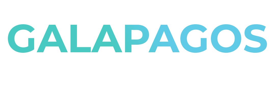 Quito Travel Guide: Top Attractions And Tips