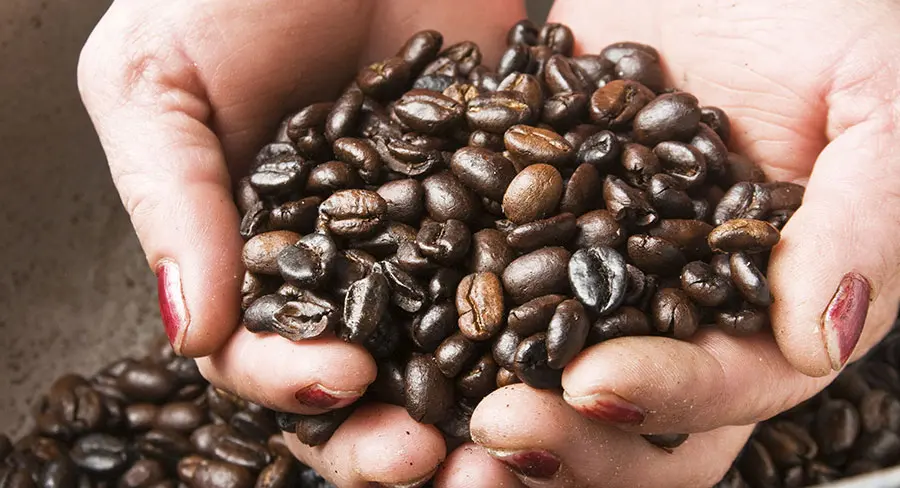 A Complete Guide To The Colombia's Coffee Triangle