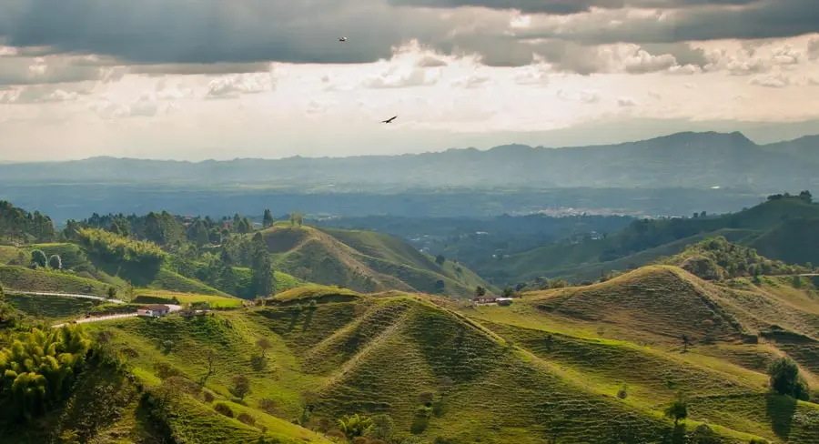 La Mejor Época para Visitar el Triángulo del Café en Colombia