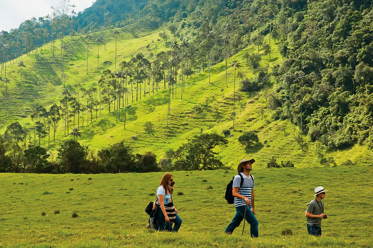The Best Time To Visit The Coffee Triangle In Colombia