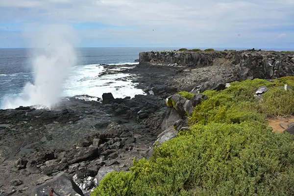 How Do I Choose The Best Itinerary For A Galapagos Cruise?