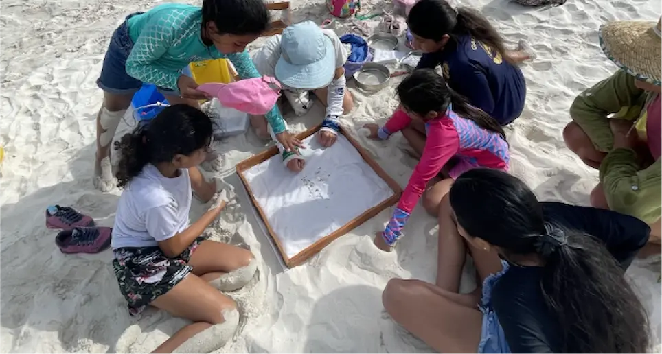 Sustainability - Responsible Travel | Metrojourneys